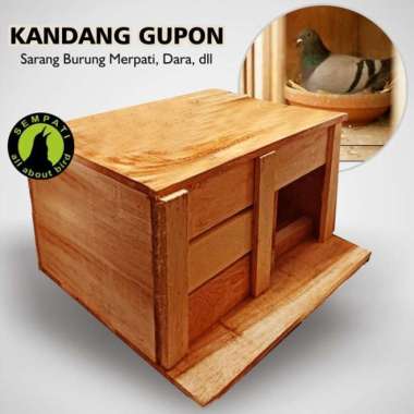 Jual Gupon Merpati Jumbo di Seller bursa.kayu - Kab. Tangerang, Banten ...