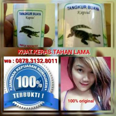 Tangkur Buaya Original Lengkap Harga Terbaru Agustus 2023 | Blibli