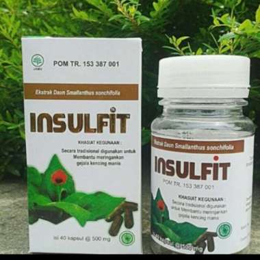 Daun Insulin Untuk Diabetes Lengkap Harga Terbaru Maret 2023 | Blibli