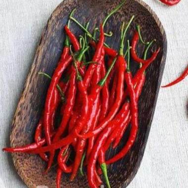 Promo Rumah Sayur Daun Obha / Oba / Daun Kenip [1 Pack] Diskon 8% di ...