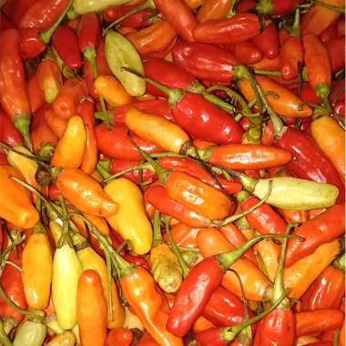 Jual Cabai Merah Rawit 1 Kg Termurah - Harga Grosir Terupdate Hari Ini ...