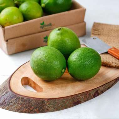 Jual Jeruk Nipis Segar 1 Kg Termurah - Harga Grosir Terupdate Hari Ini ...