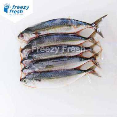 Jual Ikan Layang Frozen Termurah - Harga Grosir Terupdate Hari Ini | Blibli