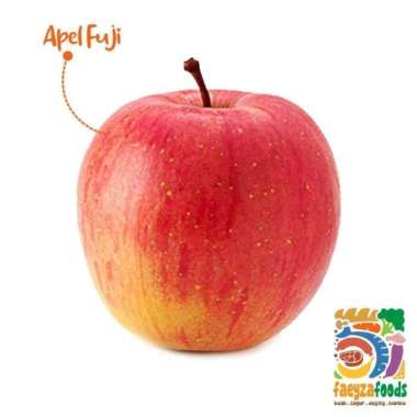 Jual Apel Fuji Go Fruit Termurah - Harga Grosir Terupdate Hari Ini | Blibli
