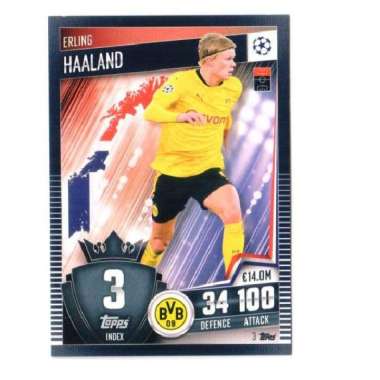 Jual Halland Kartu Original Harga Termurah Agustus 2023 | Blibli