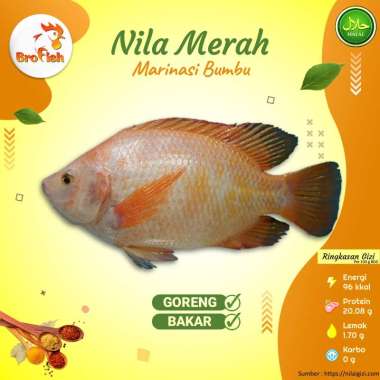 Jual Ikan Nila Merah Marinasi Bumbu Termurah - Harga Grosir Terupdate ...