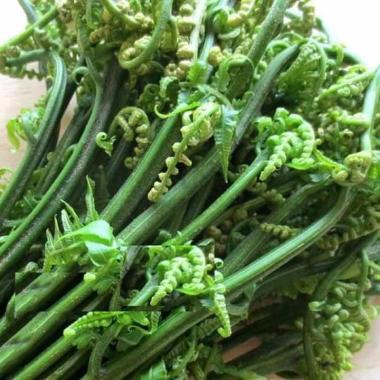 Jual Sayur Pakis Murah - Harga Grosir Mei 2024 | Blibli