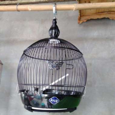 Jual Sangkar Burung Besi Bulat Original Murah - Harga Diskon Maret 2023 ...