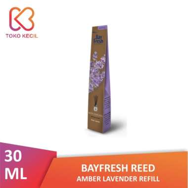 Jual Bayfresh Reed Diffuser Morning Coffee Refill 30 ML - Pengharum ...