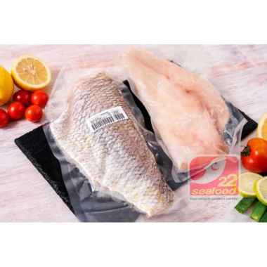 Jual Ikan Lencam Katamba Fillet 1kg - 22 Seafood di Seller 22 Seafood ...