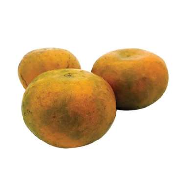 Jual Isi Jeruk Citrus Kg Original Murah - Harga Diskon Agustus 2023 ...