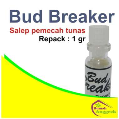 Jual Bud Salep Anggrek Original Murah - Harga Diskon Oktober 2022 ...