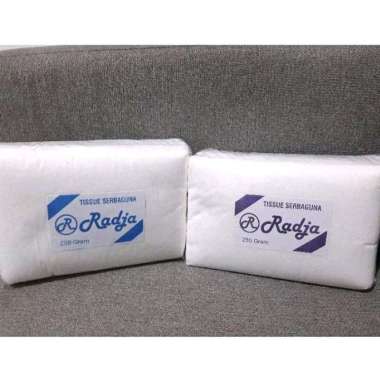 Jual Tissu Dapur Biasa Original Murah - Harga Diskon November 2022 ...