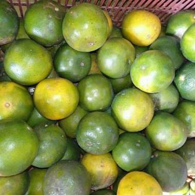 Jual Jeruk Peras Depok Original, Murah & Diskon April 2023 | Blibli