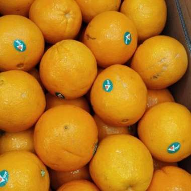 Jual Jeruk Sunkist Cara Navel Termurah - Harga Grosir Terupdate Hari ...