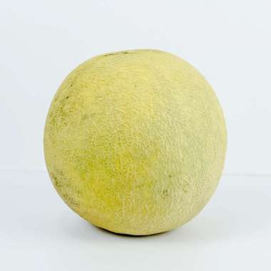 Jual Melon Sky Rocket Termurah - Harga Grosir Terupdate Hari Ini | Blibli