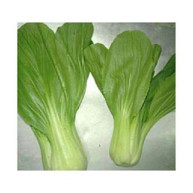 Harga pakcoy 1kg Terbaru Jan 2026 | BigGo Indonesia