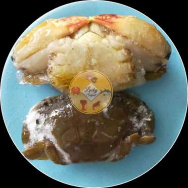 Harga Frozen Terbaru Agustus 2022 |BigGo Indonesia