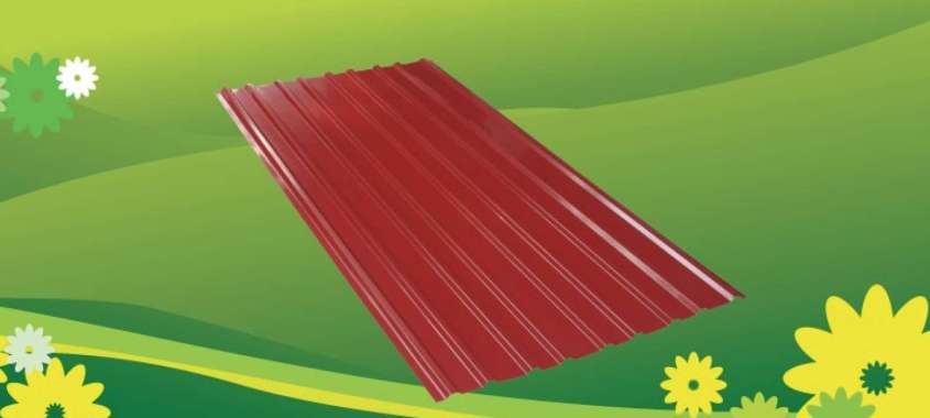 Harga soka seng Terbaru Okt 2025 | BigGo Indonesia