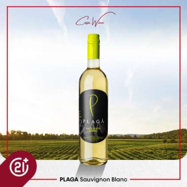 Jual Plaga Wine Official Termurah - Harga Grosir Terupdate Hari Ini ...