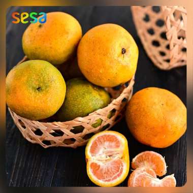 Jual Jeruk Medan Brastagi Terbaru - Harga Promo Juli 2023 | Blibli