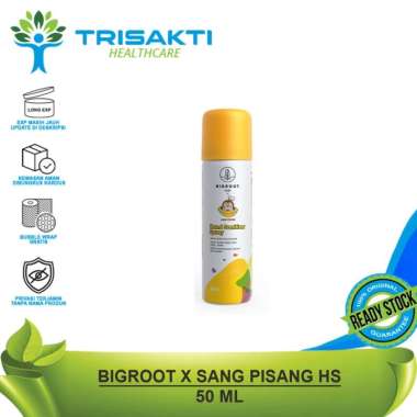 Bigroot Sang Pisang Lengkap Harga Terbaru Februari 2023 | Blibli