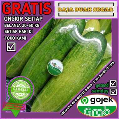 Jual Harga Timun 1 Kg Murah - Harga Grosir Agustus 2024 | Blibli