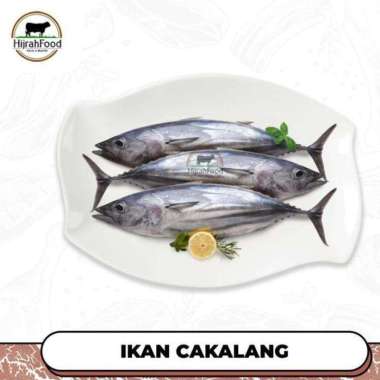 Jual Ikan Cakalang Beku 1 Kg Terbaru - Harga Promo Juli 2023 | Blibli