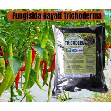 Trichoderma 1 Kg Terbaru Desember 2021 - Harga Murah & Gratis Ongkir ...