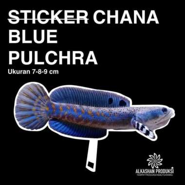 Jual Jaring Ikan Blue Marlin Original Murah - Harga Diskon Maret 2023 ...