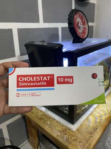 Simvastatin 10 Mg 30 Tablet Lengkap Harga Terbaru April 2023 | Blibli