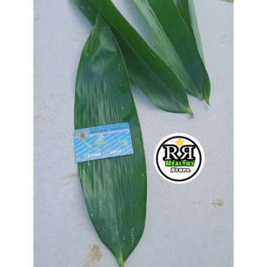 Jual Daun Bakcang Jumbo Termurah - Harga Grosir Terupdate Hari Ini | Blibli
