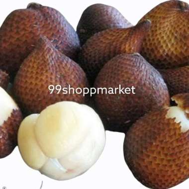 Jual Salak Gula Pasir Bali Termurah - Harga Grosir Terupdate Hari Ini ...