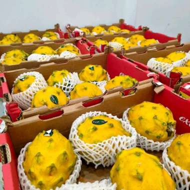 Jual Buah Naga Kuning 1 Kg Terbaru - Harga Promo Agustus 2023 | Blibli