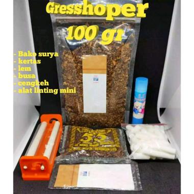 Jual Busa Rokok Linting Terbaik April 2022 - Harga Murah & Gratis ...