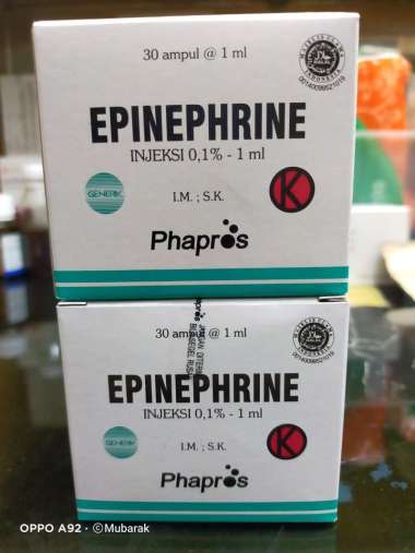 Epinephrine Injection Lengkap Harga Terbaru November 2022 | Blibli
