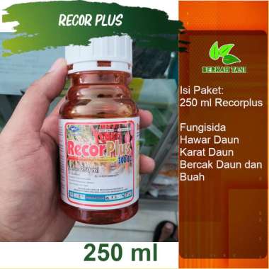 Jual Recor Plus Original Murah - Harga Diskon Mei 2023 | Blibli.com
