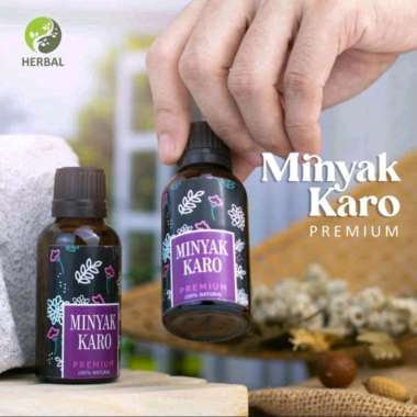 Daun Sirih Dari Tanah Karo Lengkap Harga Terbaru Desember 2022 | Blibli