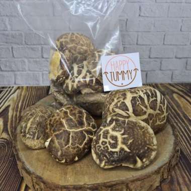 Jual Shitake Jamur Hioko Termurah - Harga Grosir Terupdate Hari Ini ...