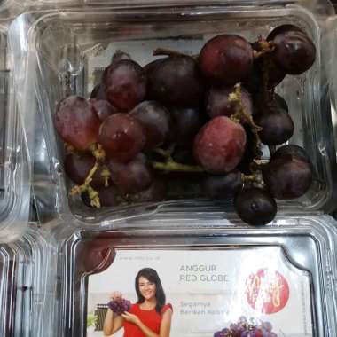 Jual Anggur Merah Peru Termurah - Harga Grosir Terupdate Hari Ini | Blibli