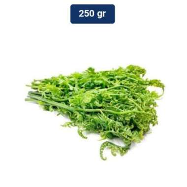 Jual Sayur Pakis Murah - Update Harga Grosir Hari Ini | Blibli