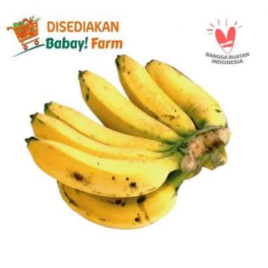 Jual Pisang Raja Nangka Tandan Termurah - Harga Grosir Terupdate Hari ...