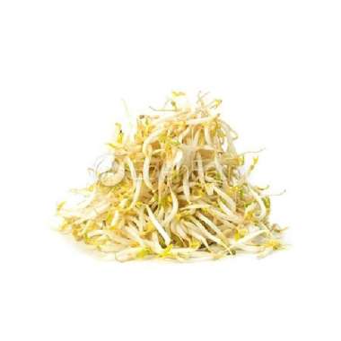 Jual Toge Biasa 1 Kg Terbaru - Harga Promo Januari 2024 | Blibli