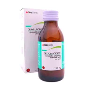 Amoxicillin - Harga Terbaru Mei 2024 | Blibli