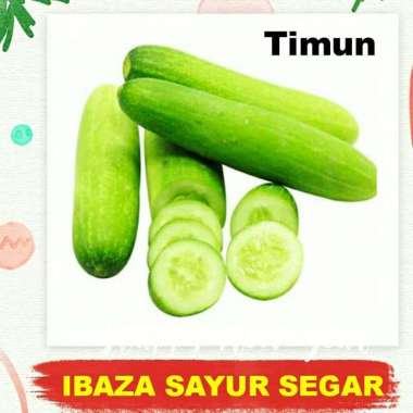 Harga timun 1kg Terbaru Sep 2025 | BigGo Indonesia