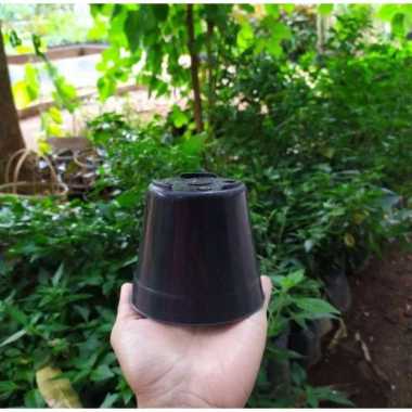 Jual Macam Macam Pot Original Murah - Harga Diskon Oktober 2023 ...