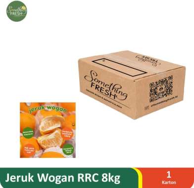 Jual Jeruk Wogan Mandarin Harga Grosir Juli 2024 - Blibli