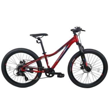 Jual Sepeda Keranjang 24 Inch Polygon Original Terbaru - Harga Promo ...