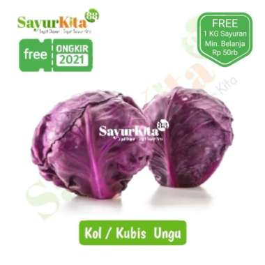 Jual Kembang Kol Ungu Terbaik November 2022 - Harga Murah & Gratis ...