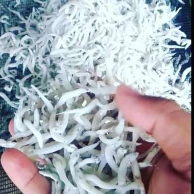 Jual Toge Biasa 1 Kg Termurah - Harga Grosir Terupdate Hari Ini | Blibli